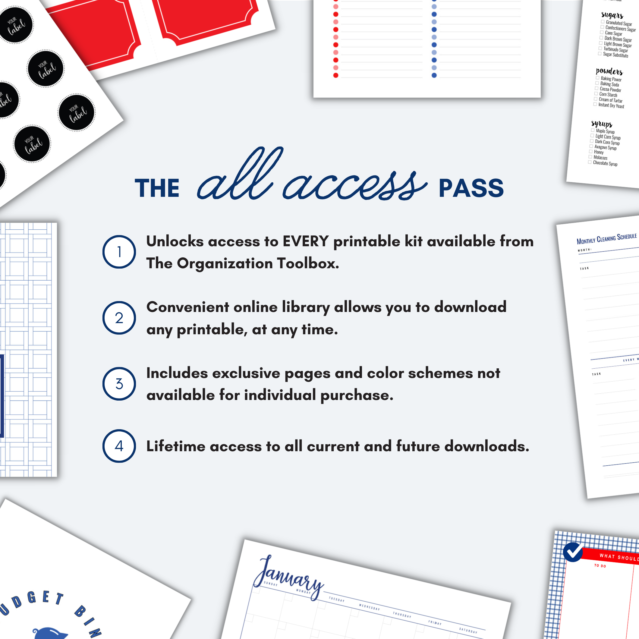 ALL ACCESS PASS – The Organization Toolbox